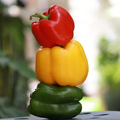 Bell Pepper 'Big Bertha' Pepper — Growing Guide, Planting Calendar ...